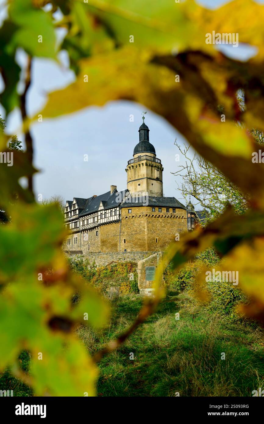 Burg Falkenstein Blick am 5. Oktober 2024 auf Burg Falkenstein bei ...