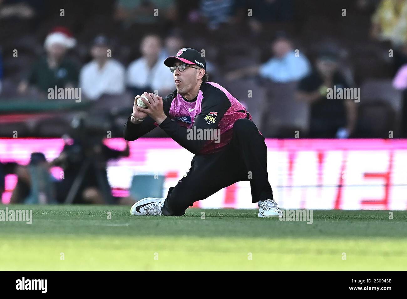 Todd murphy cricket hi-res stock photography and images - Alamy