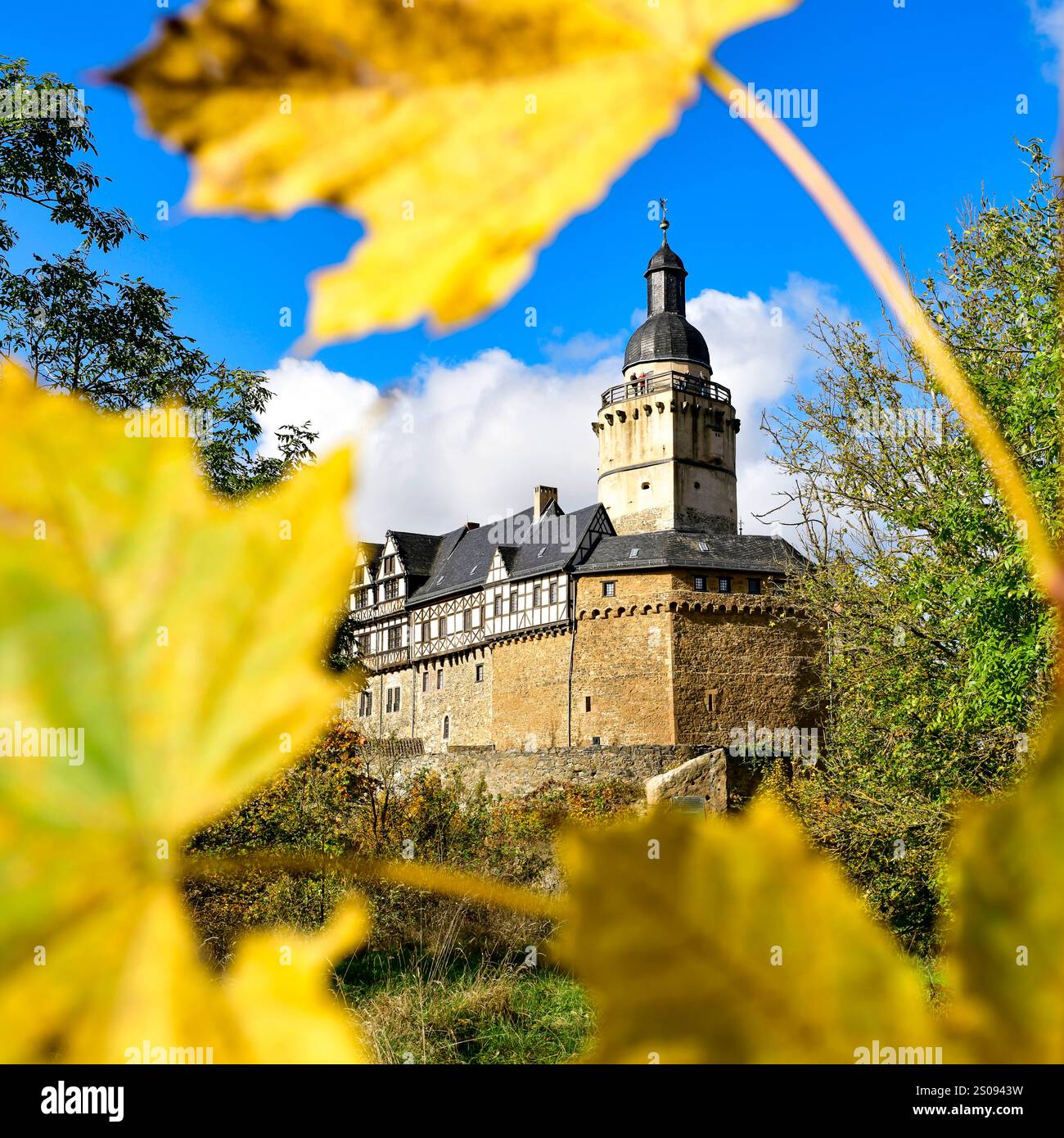 Burg Falkenstein Blick am 11. Oktober 2024 auf Burg Falkenstein bei ...