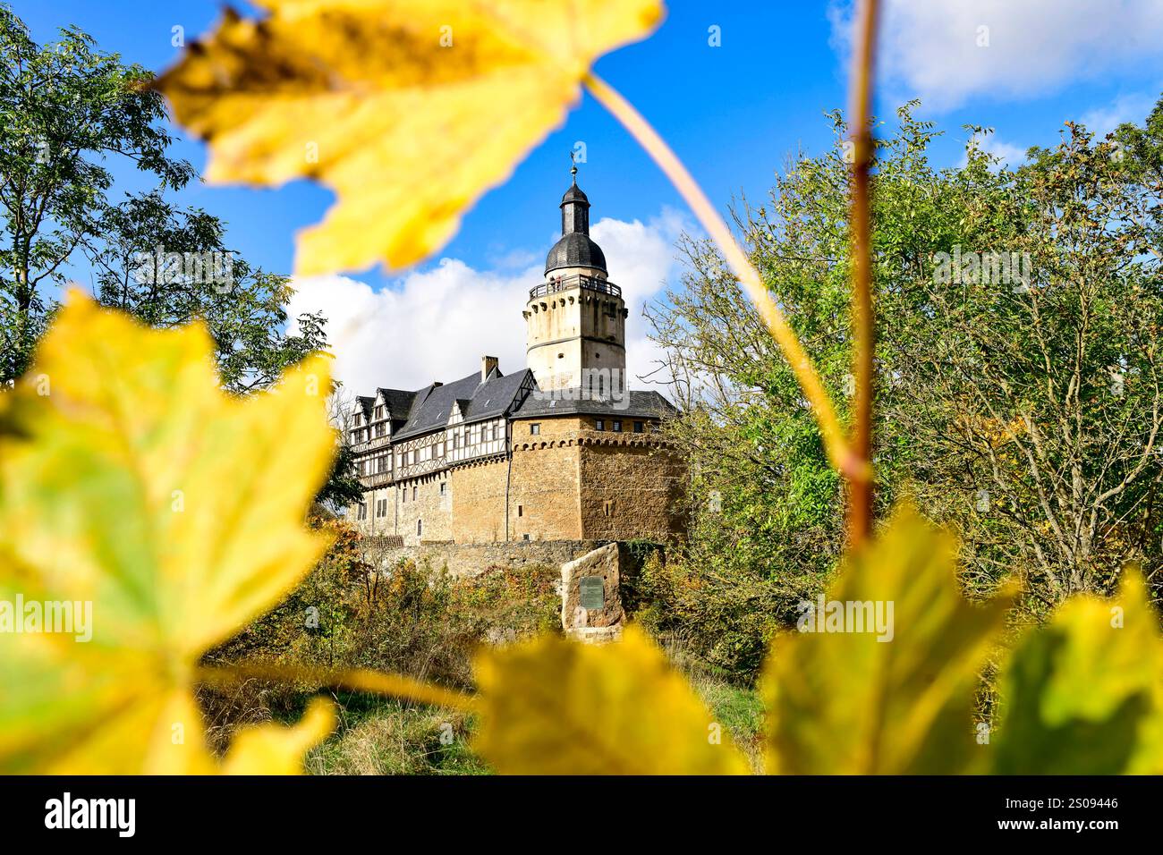 Burg Falkenstein Blick am 11. Oktober 2024 auf Burg Falkenstein bei ...