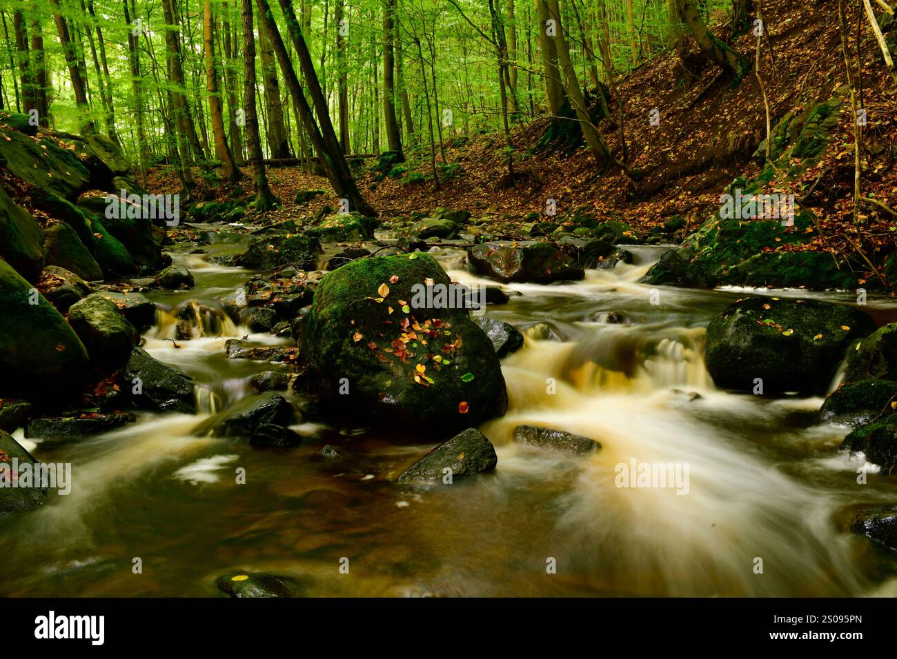 Bad Harzburg Der Fluss Radau bei Bad Harzburg, fotografiert am 9 ...