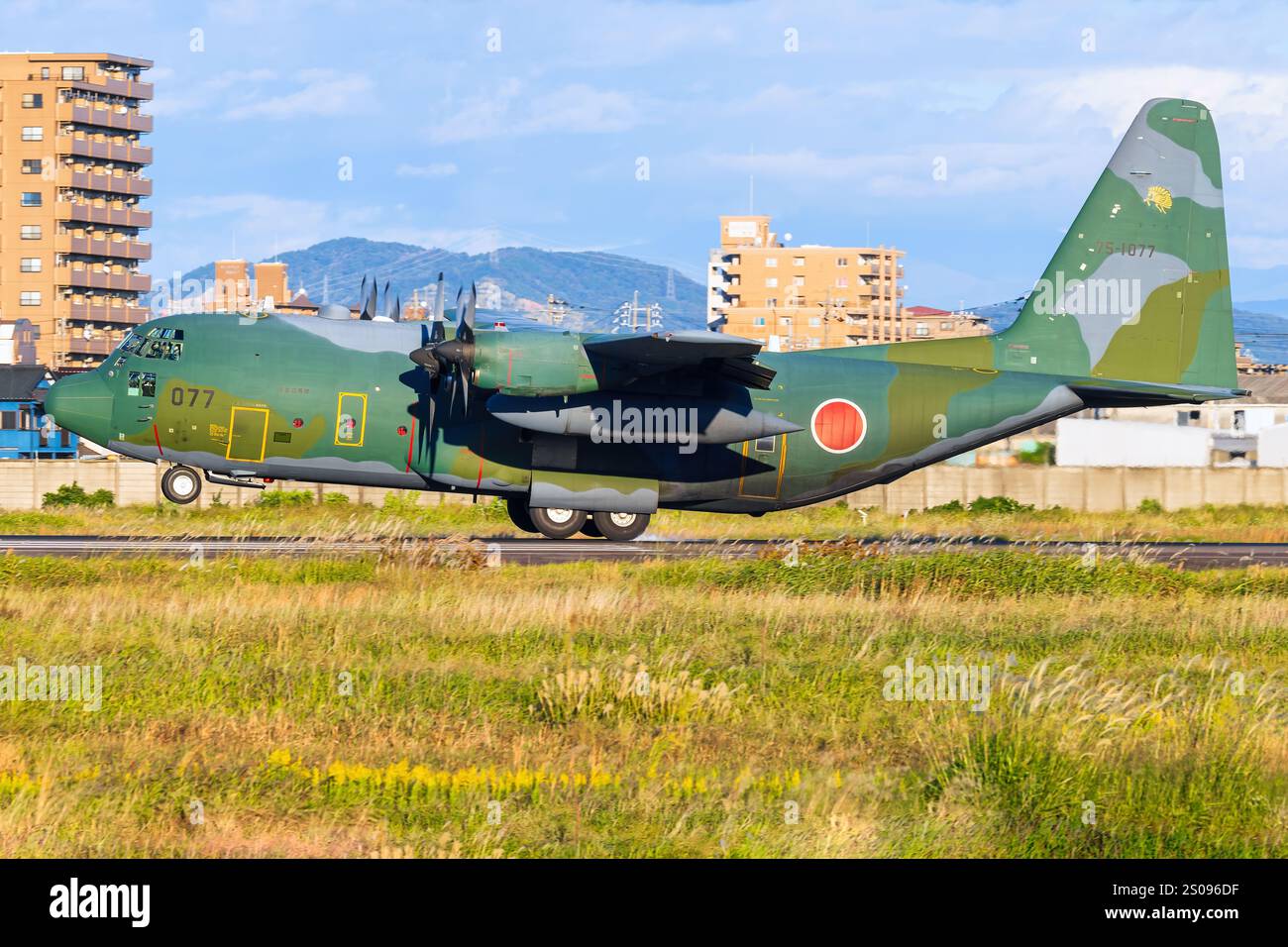 Japan, at Iruma Air Base 12 November 2024: Lockheed Hercules C-130 at ...