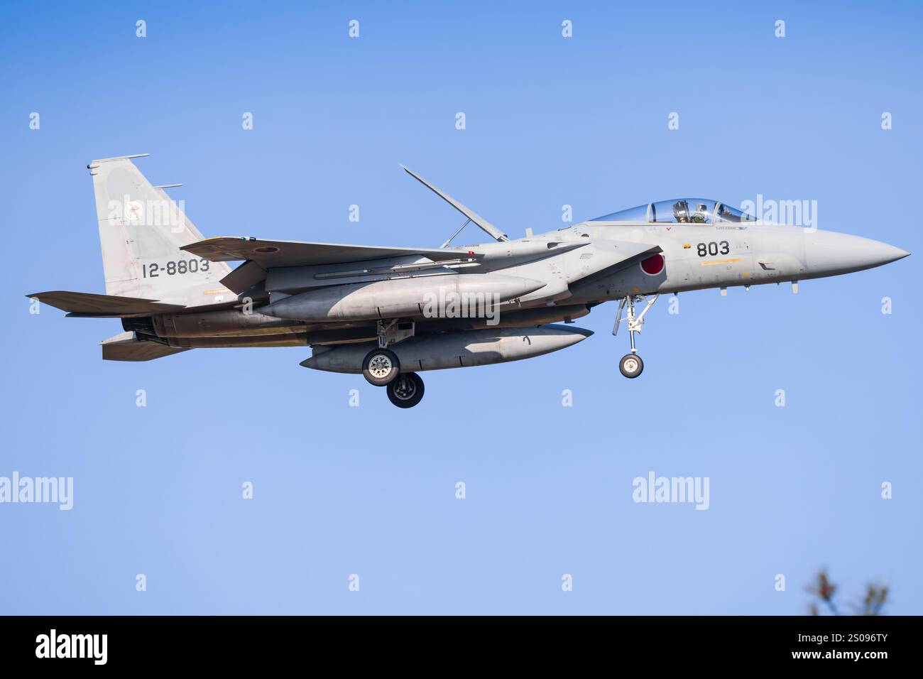 Japan, at Komatsu Air Base 14 November 2024: McDonnell Douglas F-15J ...
