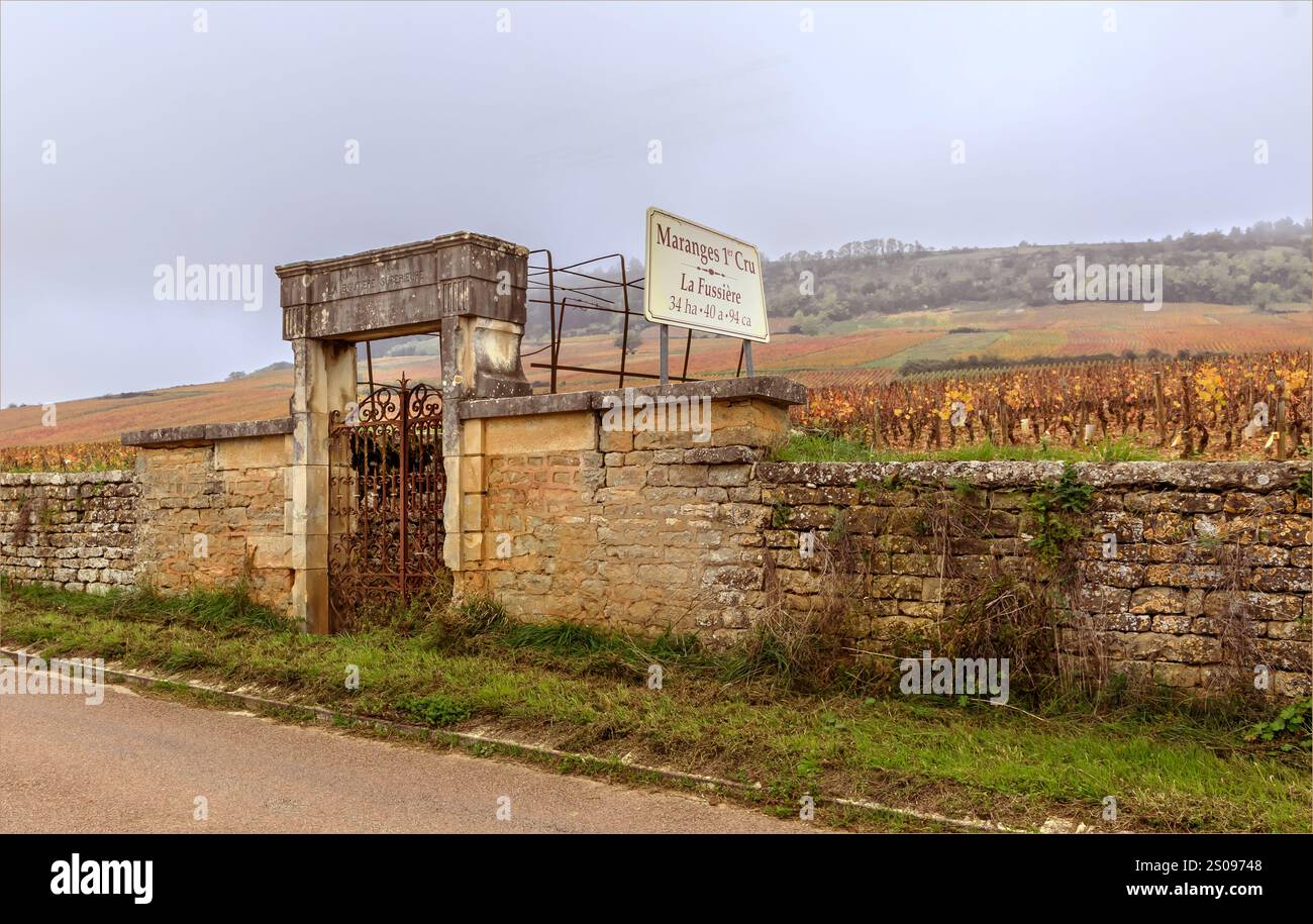 Dezize-les-Maranges, Cote de Beaune, Burgundy, France - October 24th ...