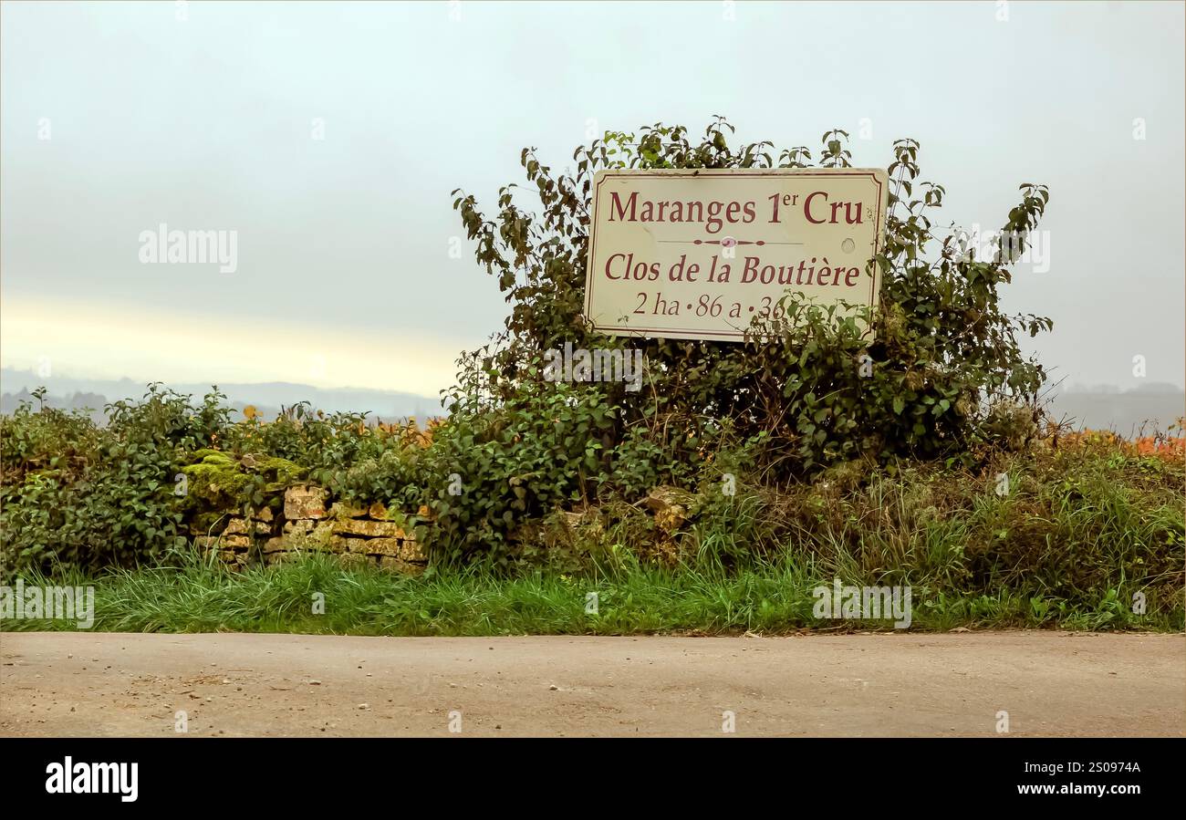 Dezize-les-Maranges, Cote de Beaune, Burgundy, France - October 24th ...