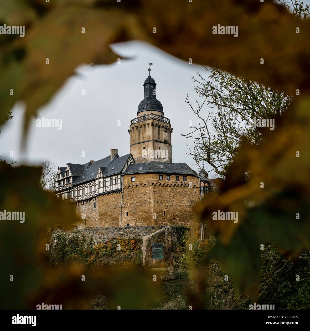 Burg Falkenstein Blick am 5. Oktober 2024 auf Burg Falkenstein bei ...