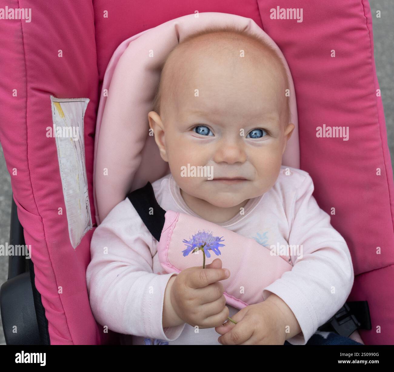 the face of a 6-8 month old baby girl with blue eyes sitting in a pink ...