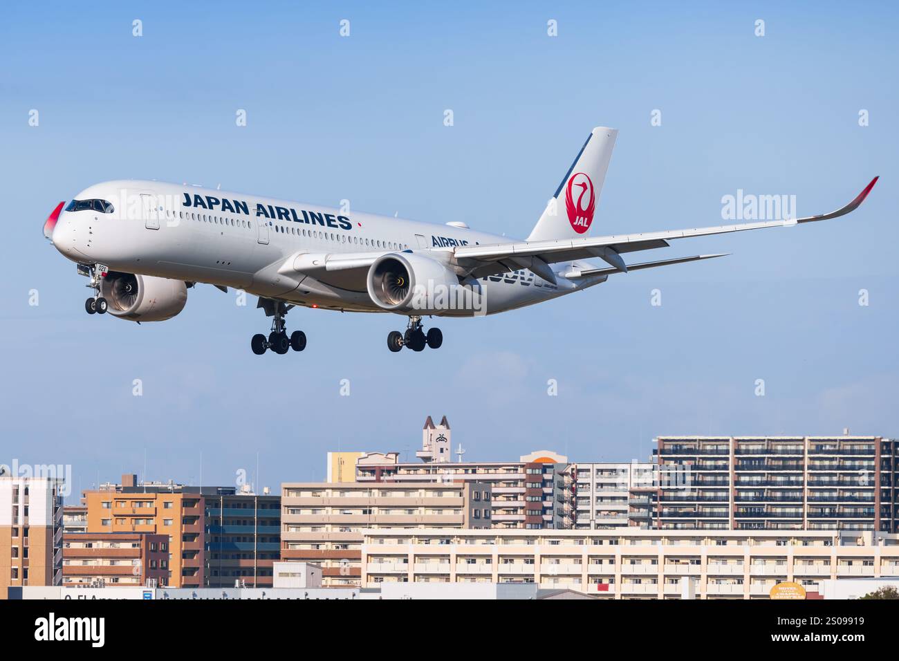 Japan - Tokio, 21 November 2024: All Nippon Airways (ANA Future Promise ...