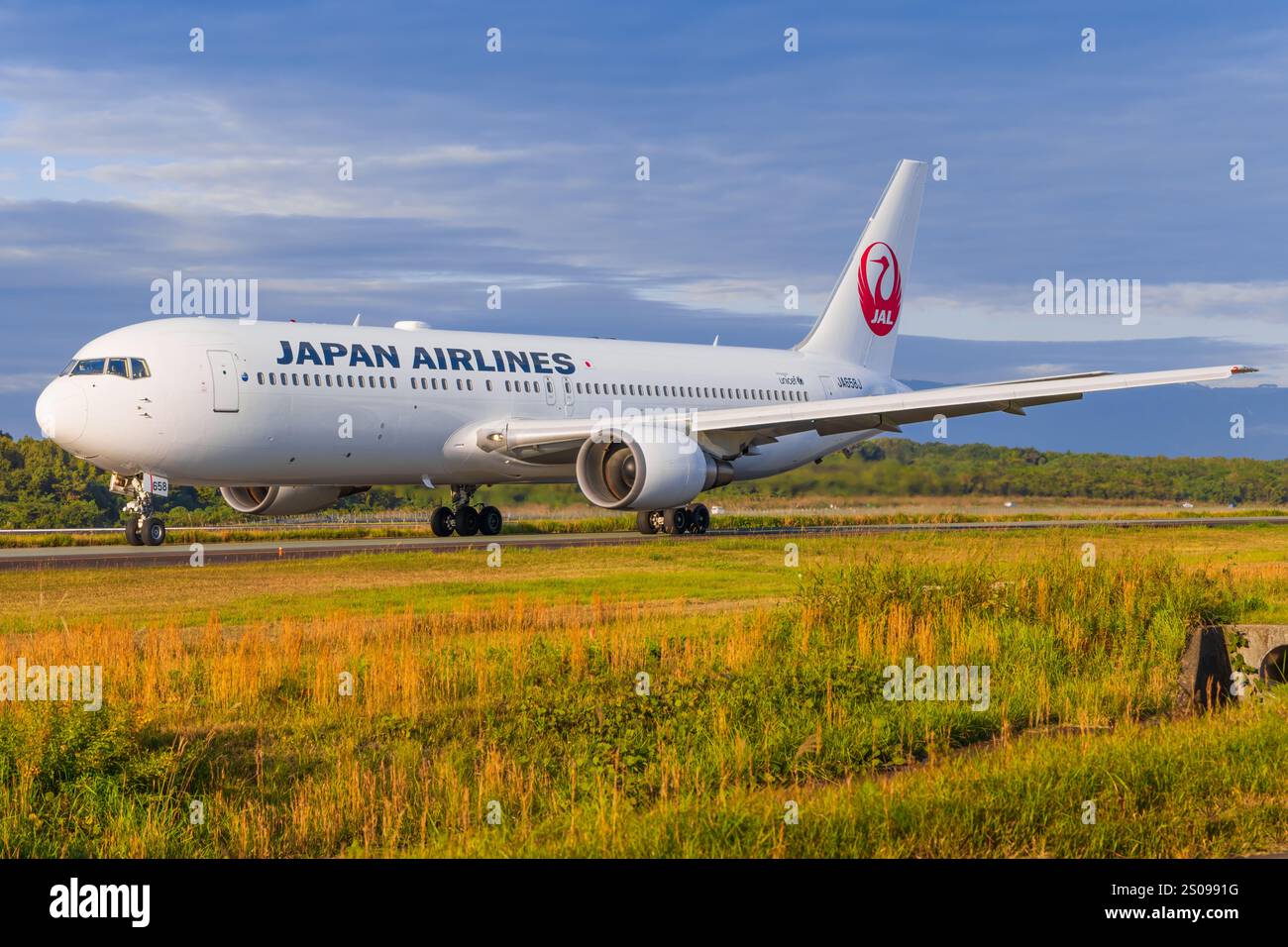 Japan - Tokio, 21 November 2024: JAL Japan Airlines (Tokyo DisneySea ...
