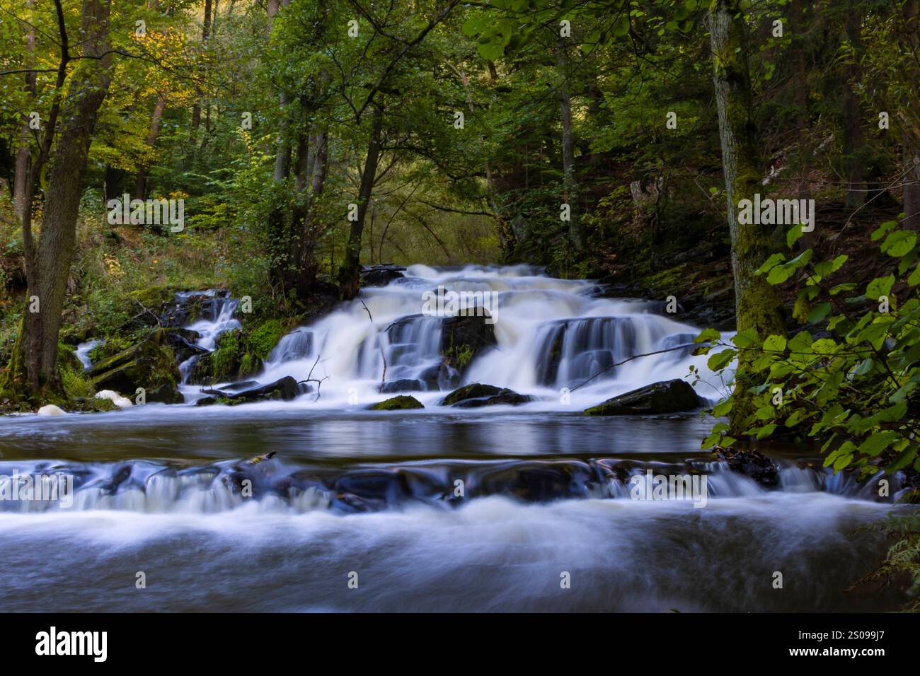 Selketal Blick am 6. Oktober 2024 auf Selkefall bei Alexisbad im Oberen ...