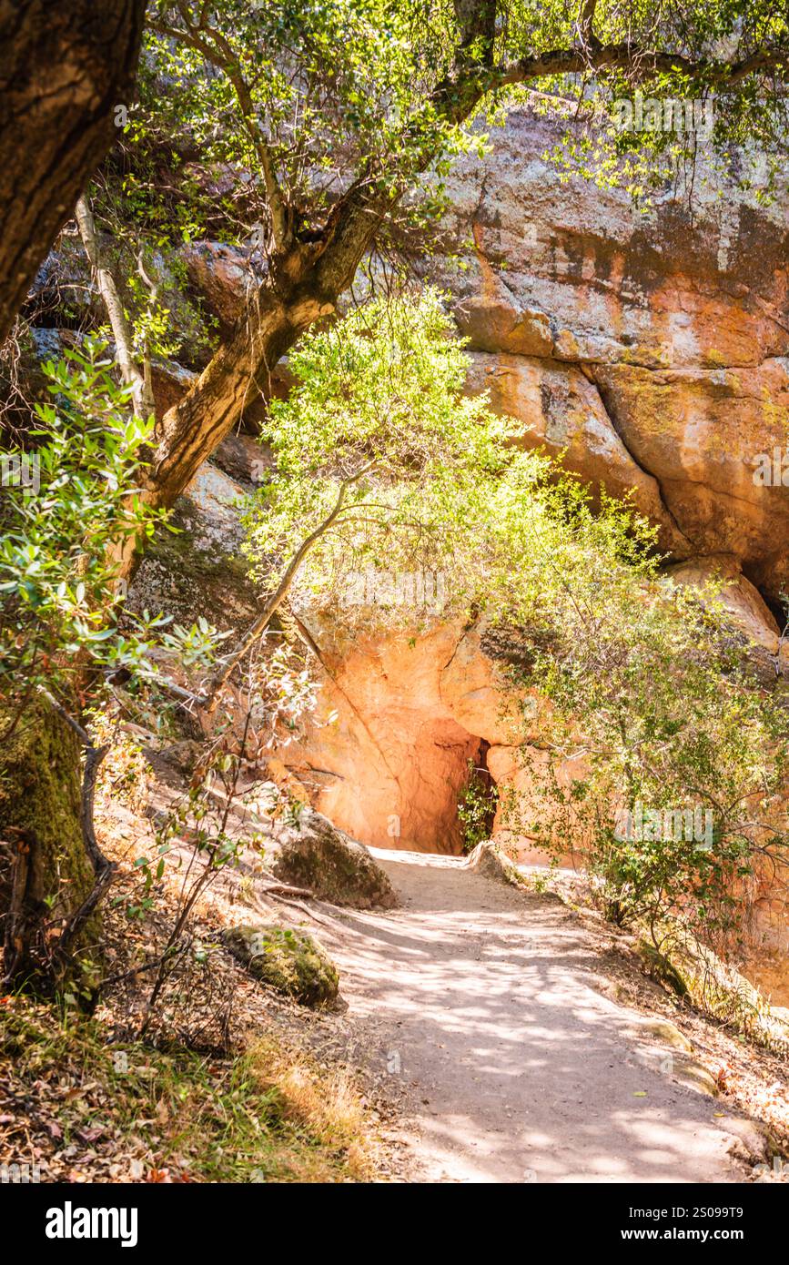 The Moses Spring Trail to Bear Gulch Reservoir is a short out-and-back ...