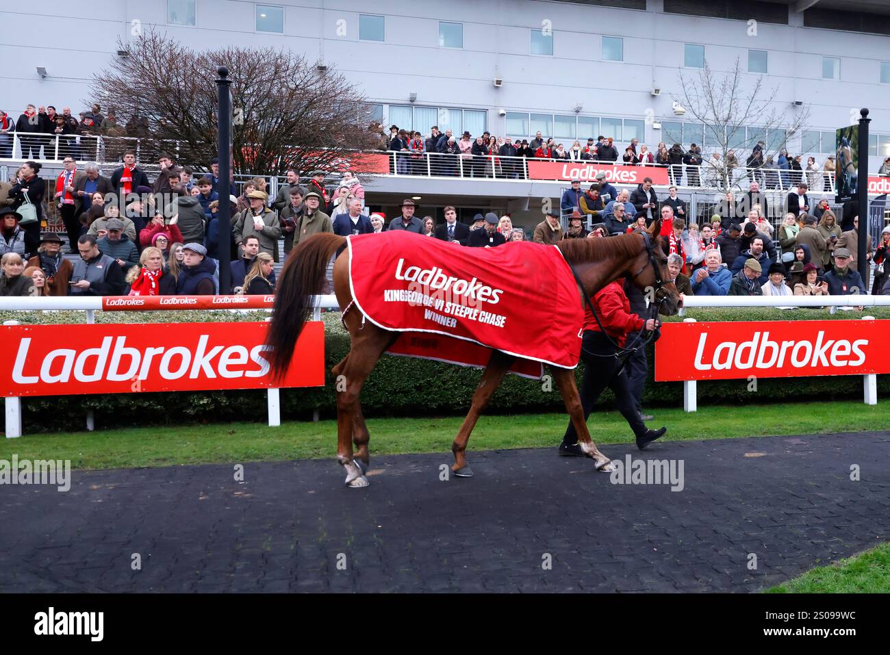 Horse Banbridge after victory in the Ladbrokes King George VI Chase ...