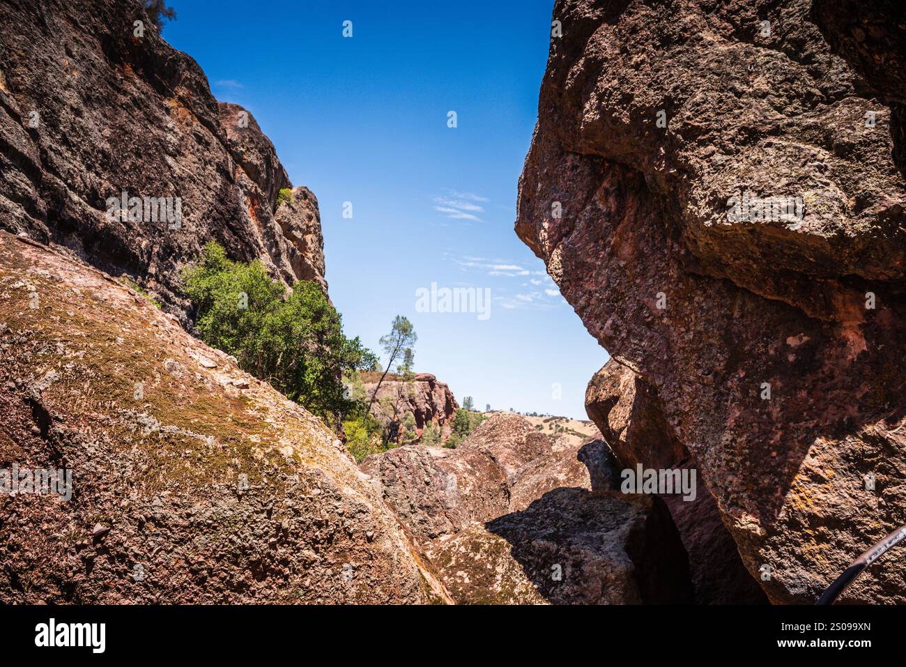 The Moses Spring Trail to Bear Gulch Reservoir is a short out-and-back ...