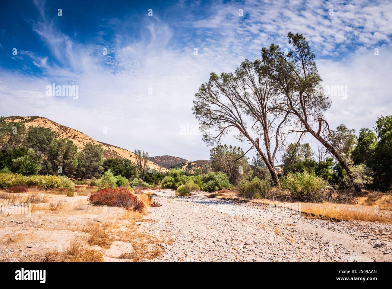 Pinnacles National Park is a national park of the United States ...