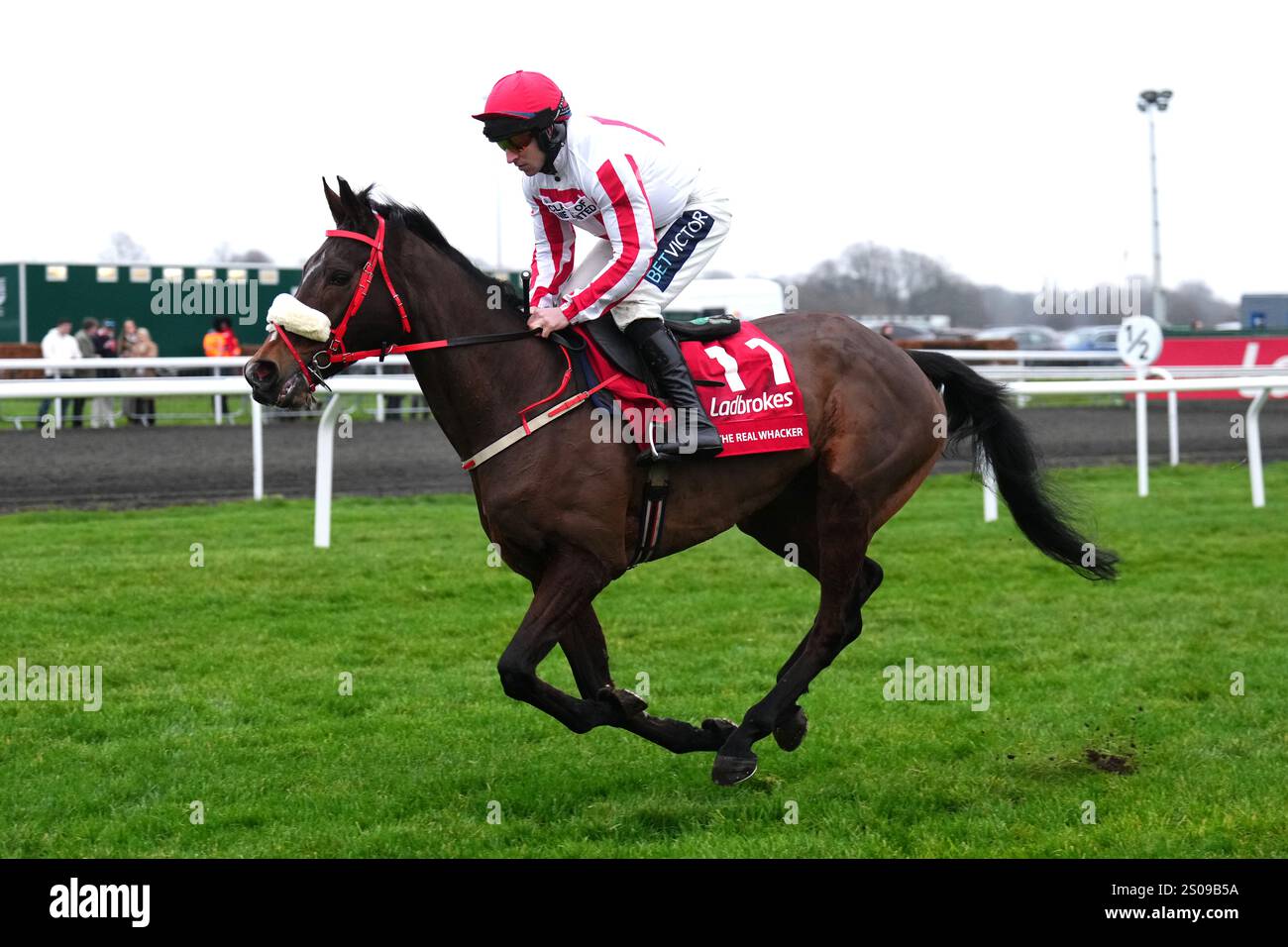 The Real Whacker ridden by Gavin Sheehan ahead of the Ladbrokes King ...