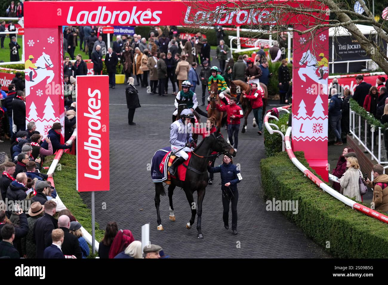 Horses and jockeys being led out to the parade ring ahead of the ...
