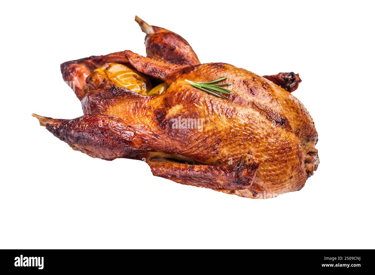 Roasted whole goose on steel tray isolated on white background. top ...