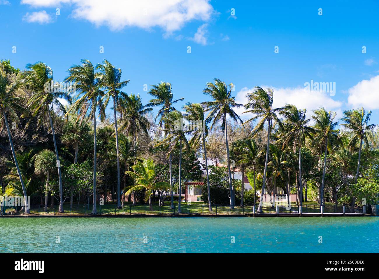 Luxury waterfront hotel building. Palm tree park. Summer vacation ...