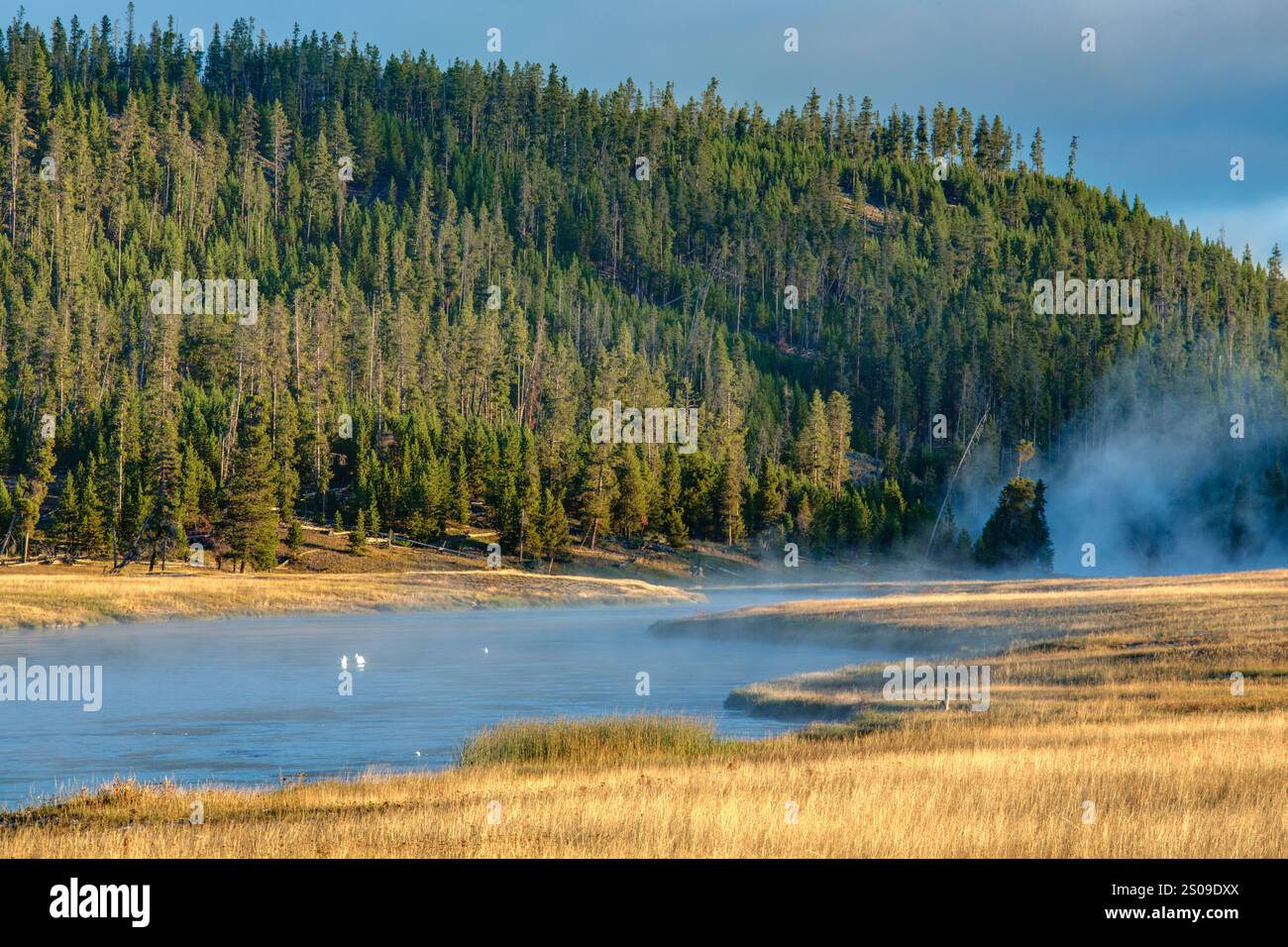 Firehole River, Yellowstone National Park Stock Photo - Alamy