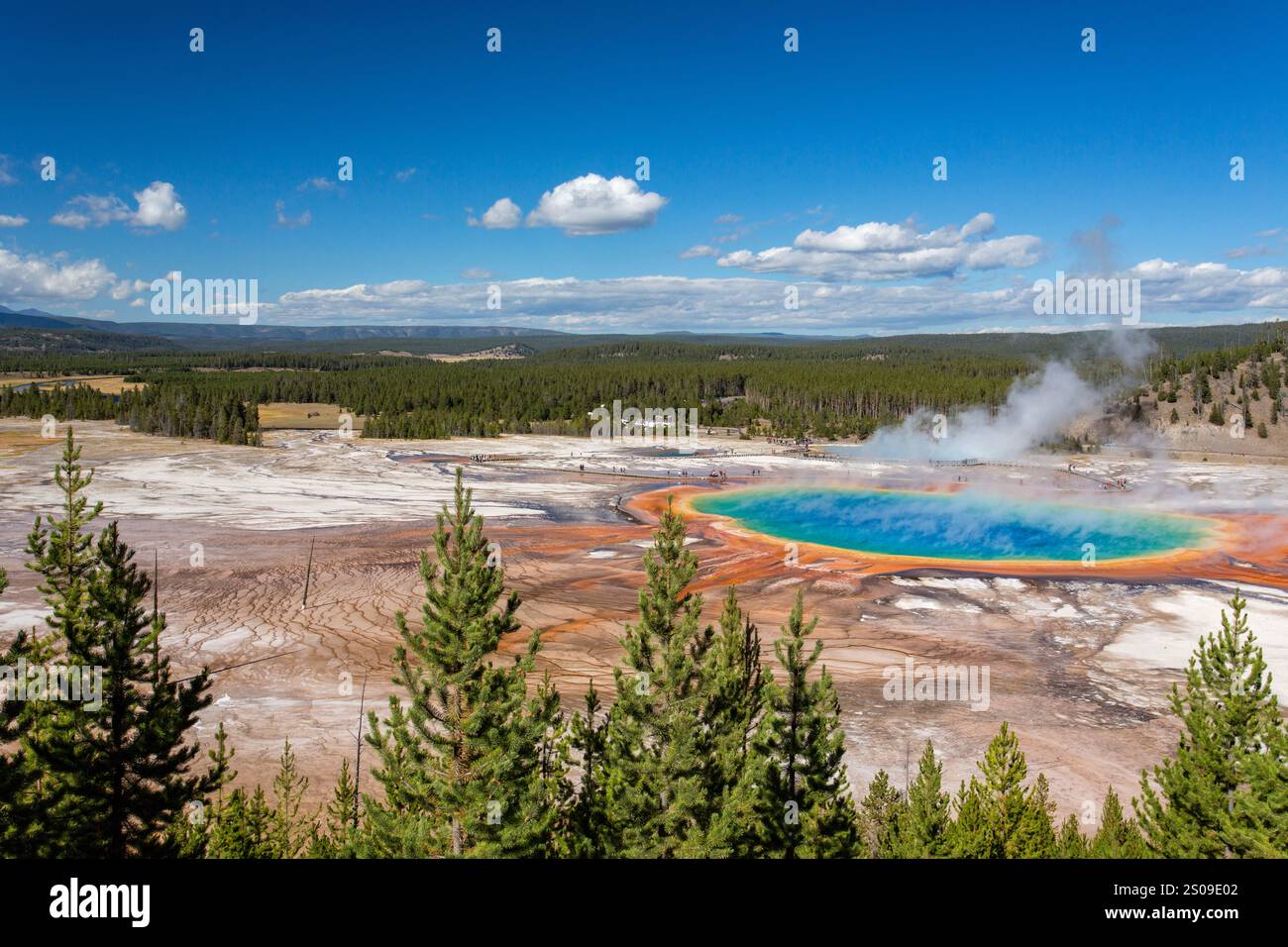 Grand Prismatic Spring Stock Photo - Alamy