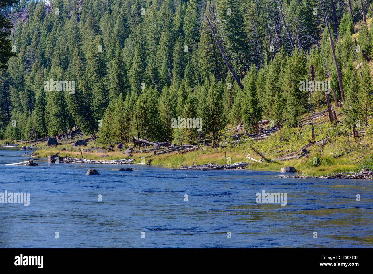 Yellowstone montana united states hi-res stock photography and images ...