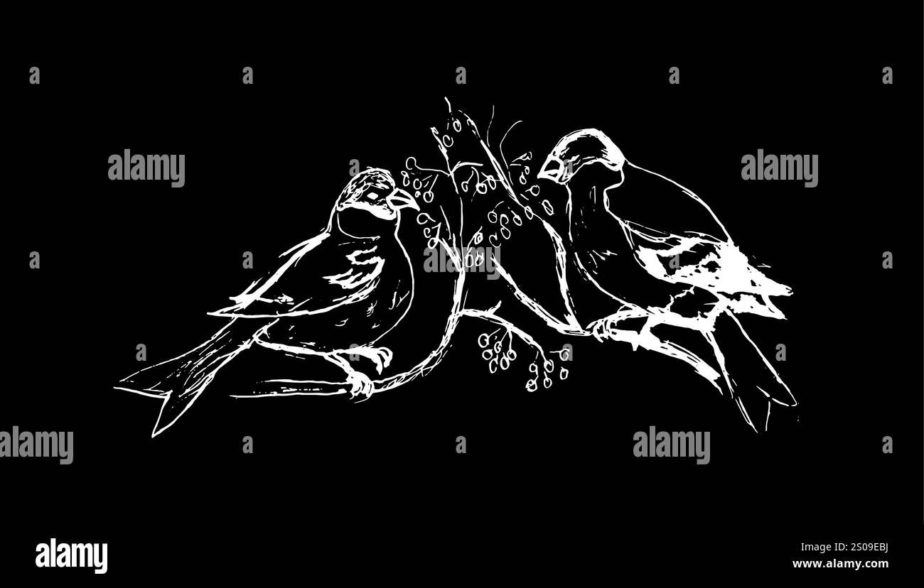 T branch Black and White Stock Photos & Images - Alamy