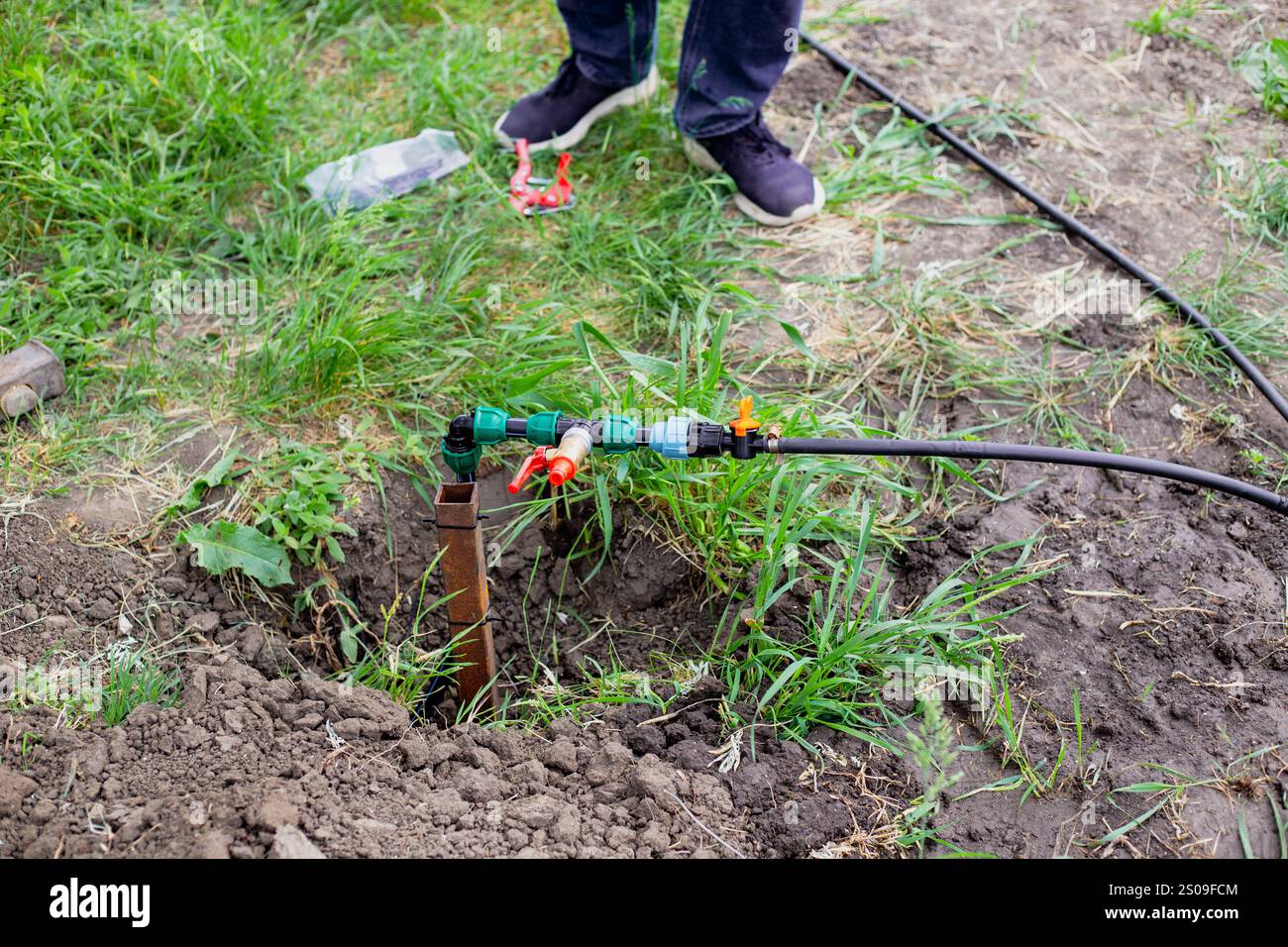 Installation of drip irrigation. Distribution unit of the irrigation ...