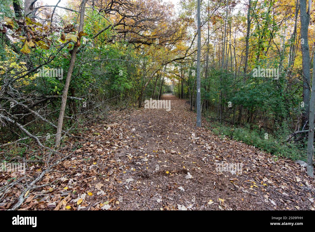 A public trail passes through the Wisconsin forest for hikers to enjoy ...