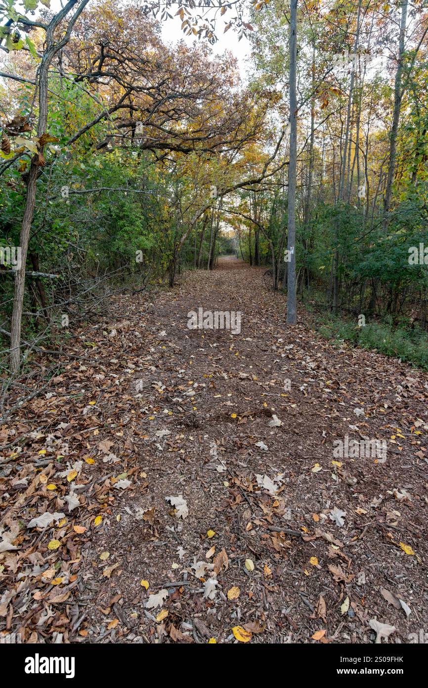 A public trail passes through the Wisconsin forest for hikers to enjoy ...