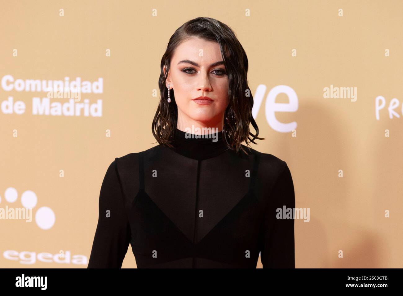 Madrid, Spain. 14th Dec, 2024. Stephanie Gil attends the red carpet for ...