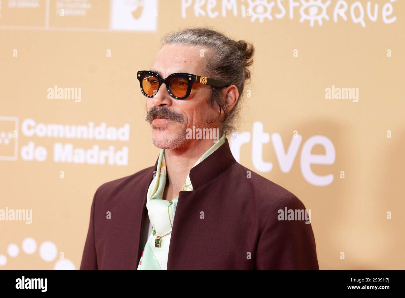 Madrid, Spain. 14th Dec, 2024. 'scar Jaenada attends the red carpet for ...