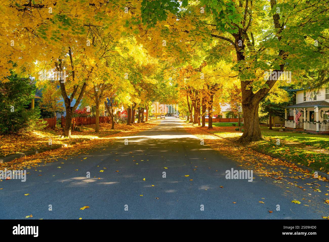 A shady residential street in the historic Sanders Beach district near ...