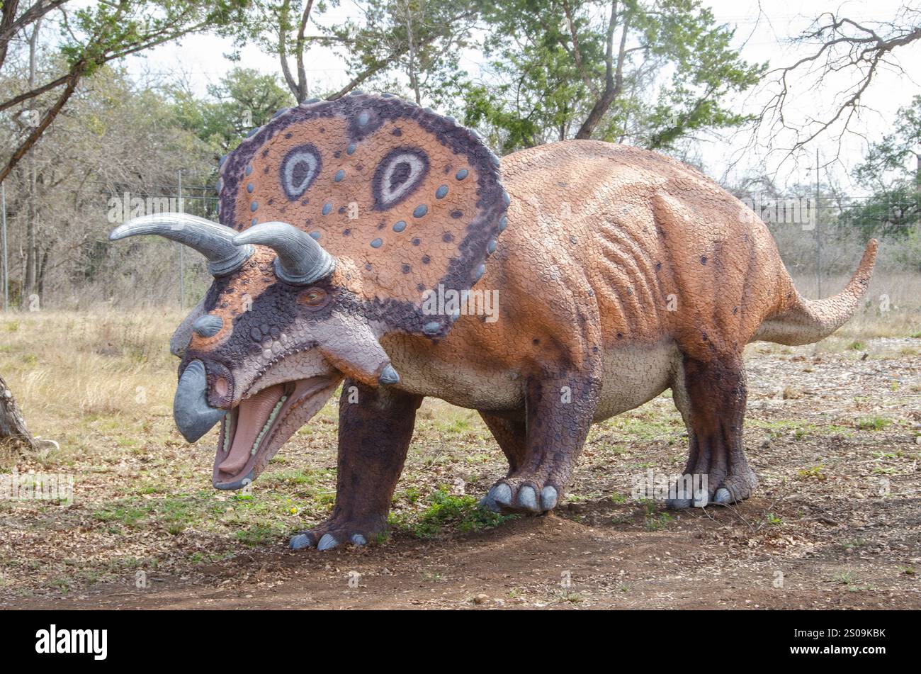 Bandera Natural History Museum has over 100 full body mounts of animals ...