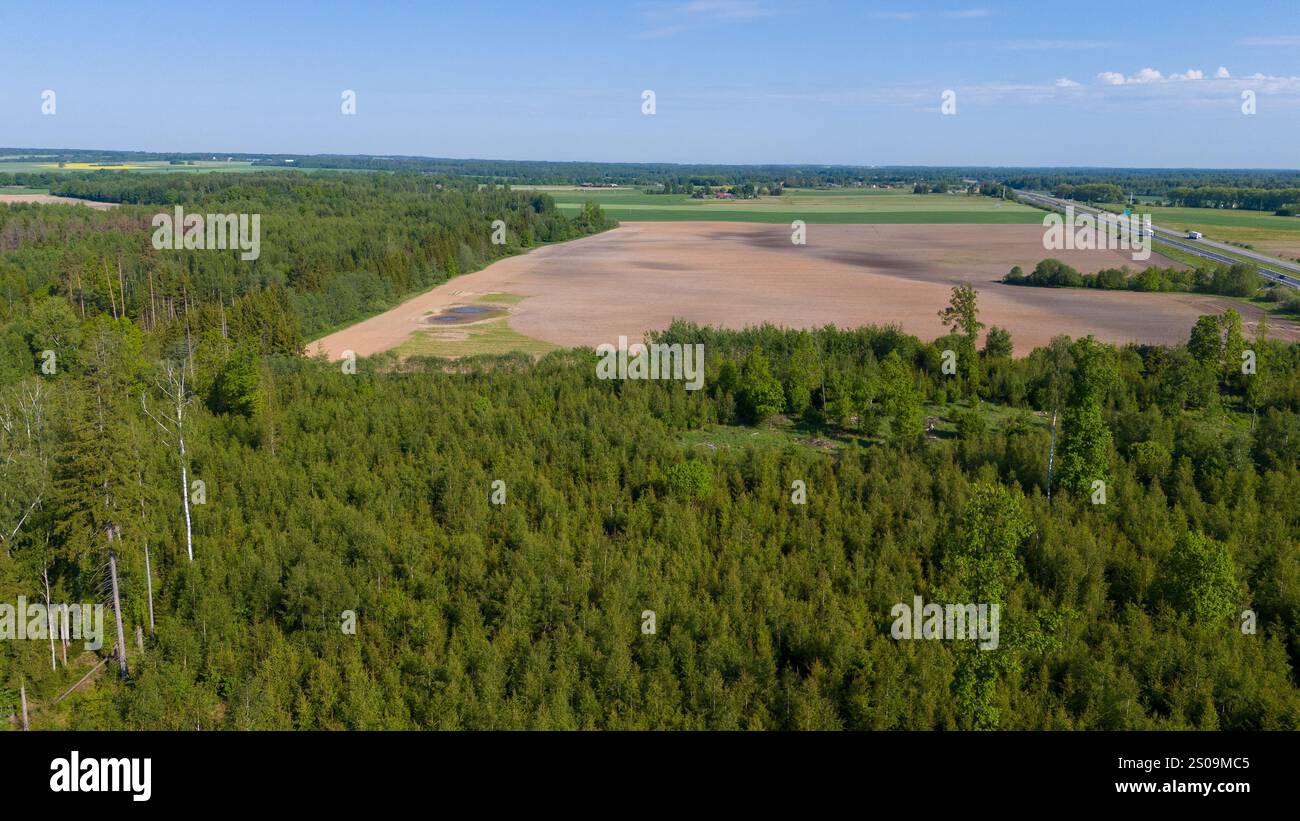 Aerial view of a lush green forest transitioning to an open ...