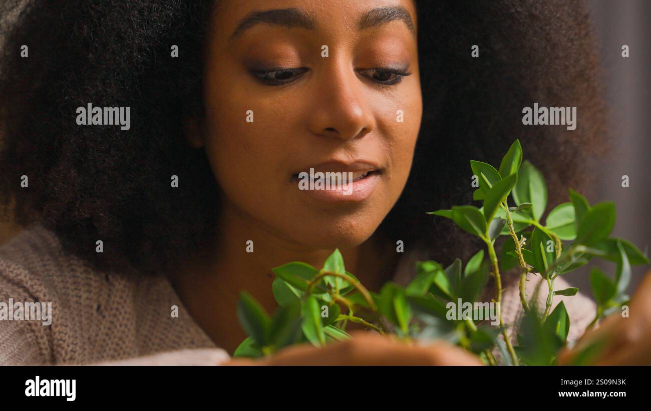 African American woman florist gardener female housewife happy ethnic ...