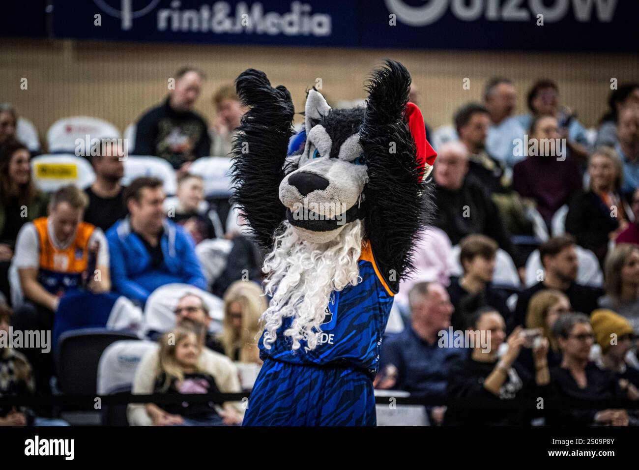 Rostock, Deutschland 26. Dezember 2024: 1.BBL - 2024/2025 - Rostock ...