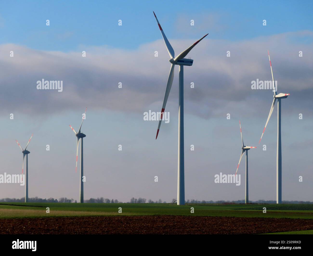 ...da stehen sie wie erstarrte Riesen und warten auf den Wind - das ...