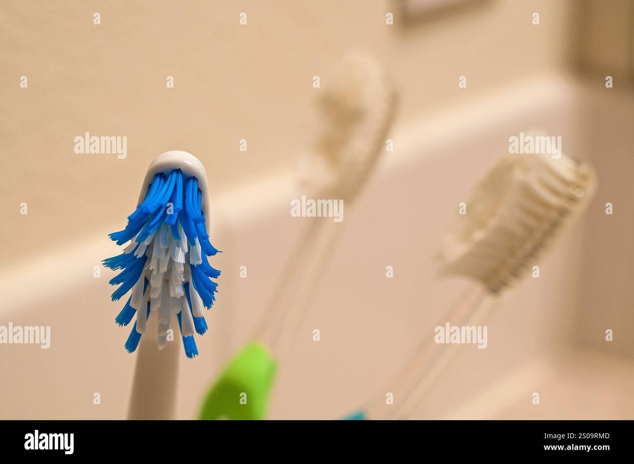 Setting artificial teeth hi-res stock photography and images - Alamy