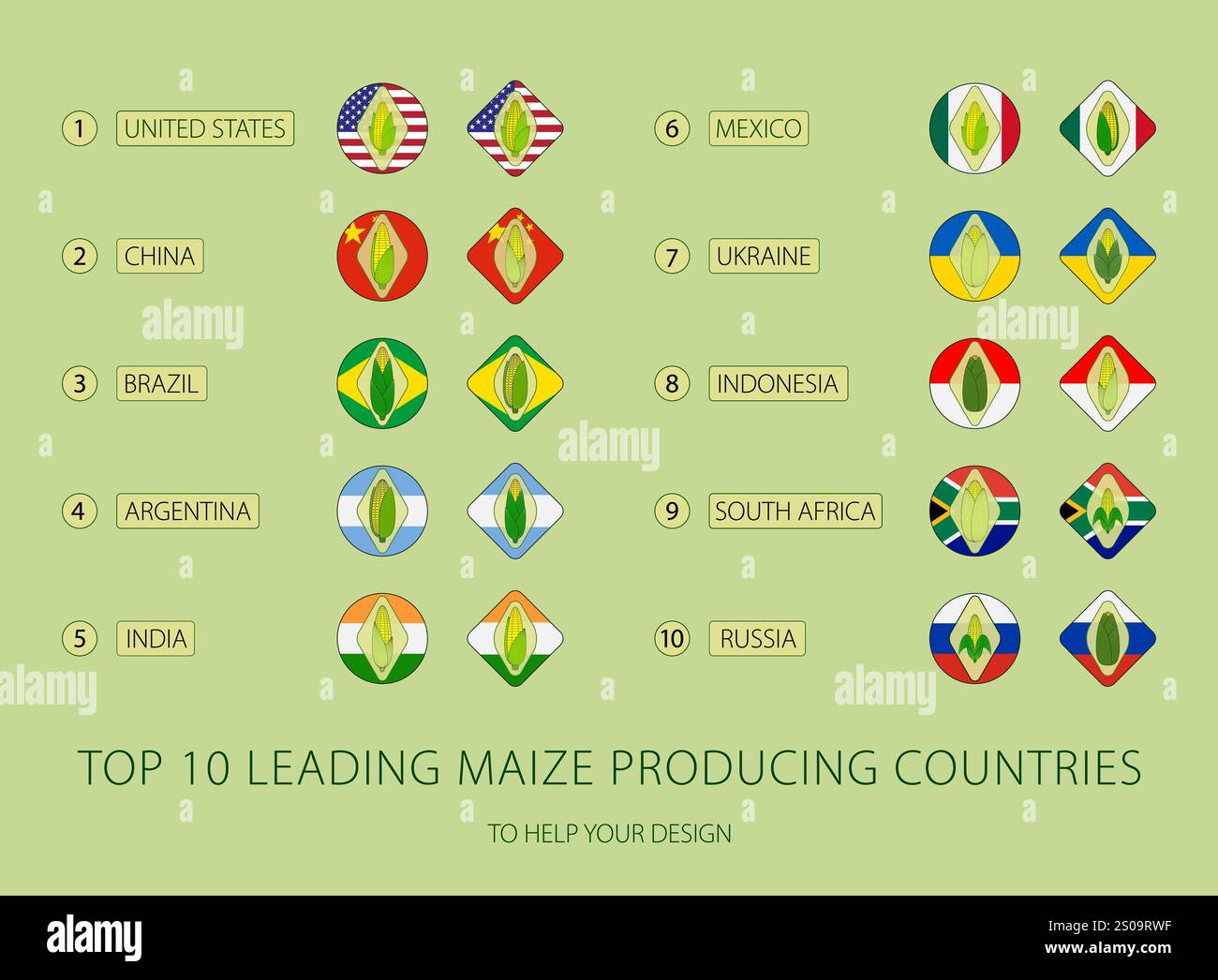 Top 10 corn producing countries. Infographics. Vector illustration ...
