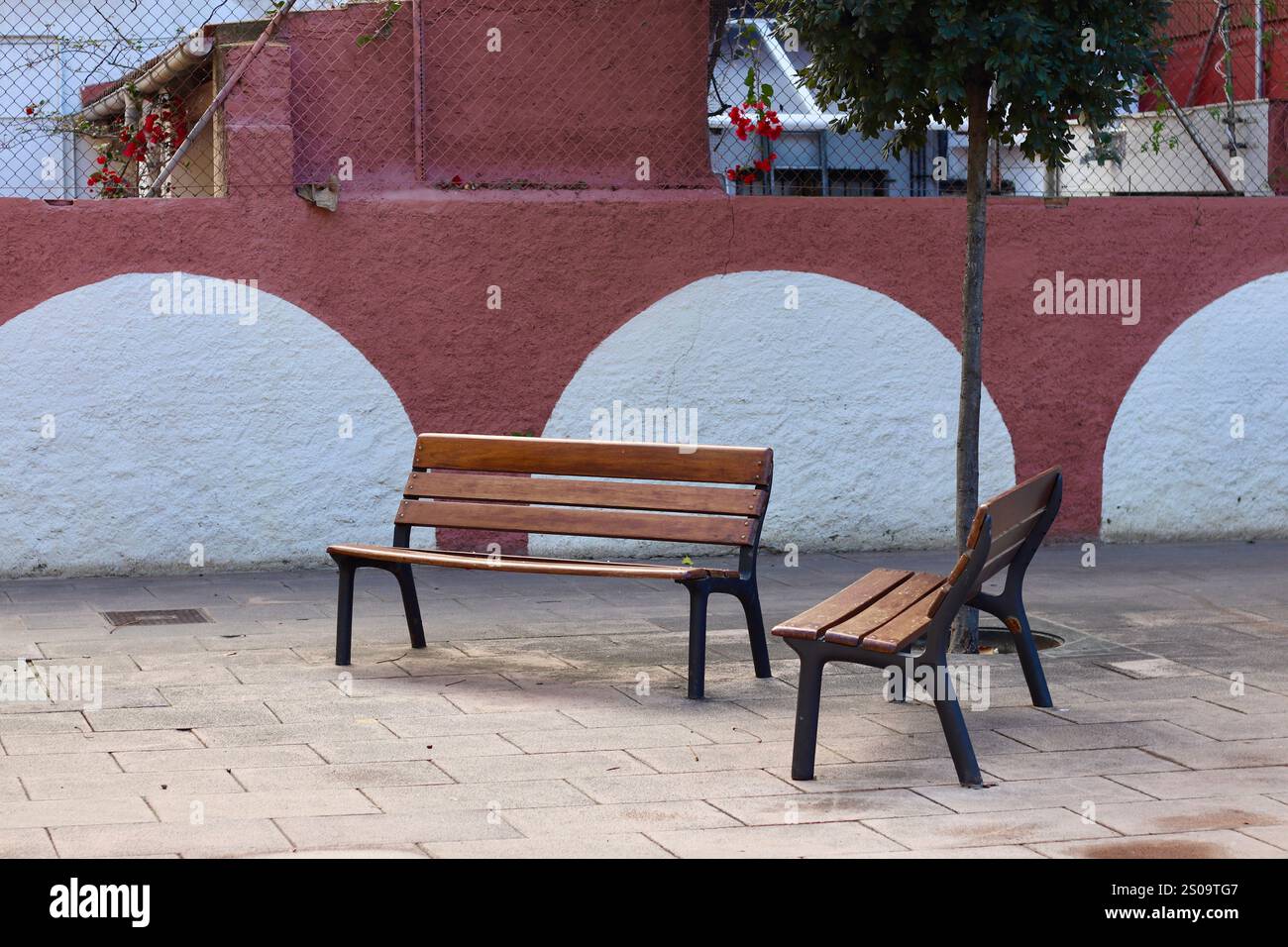 Empty Wooden Benches in Urban Park with Decorative Wall and Tree Stock ...