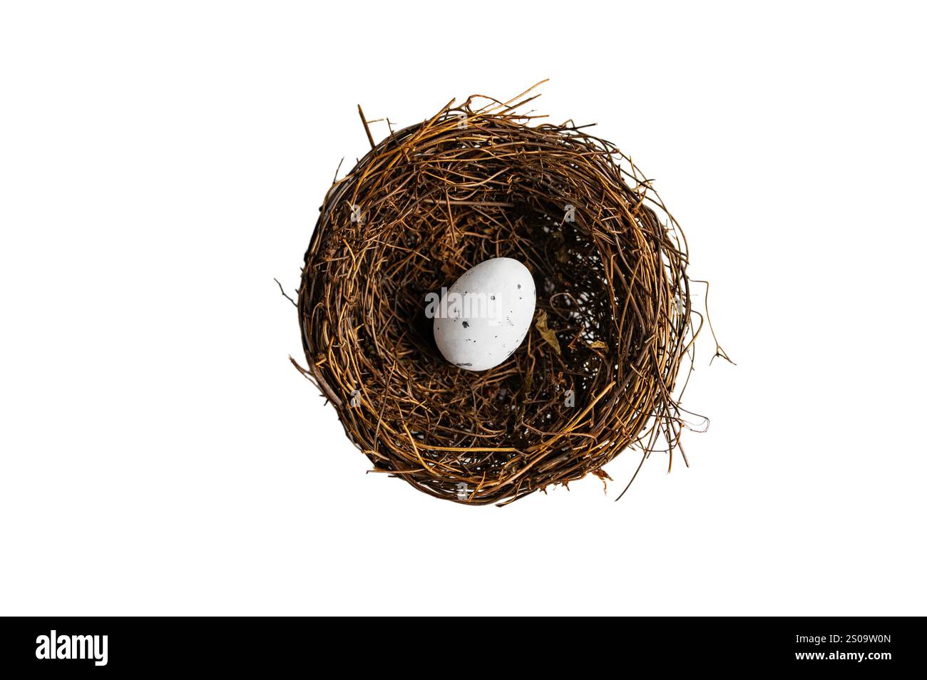 Bird nest on white background. International bird day. Breeding ground ...