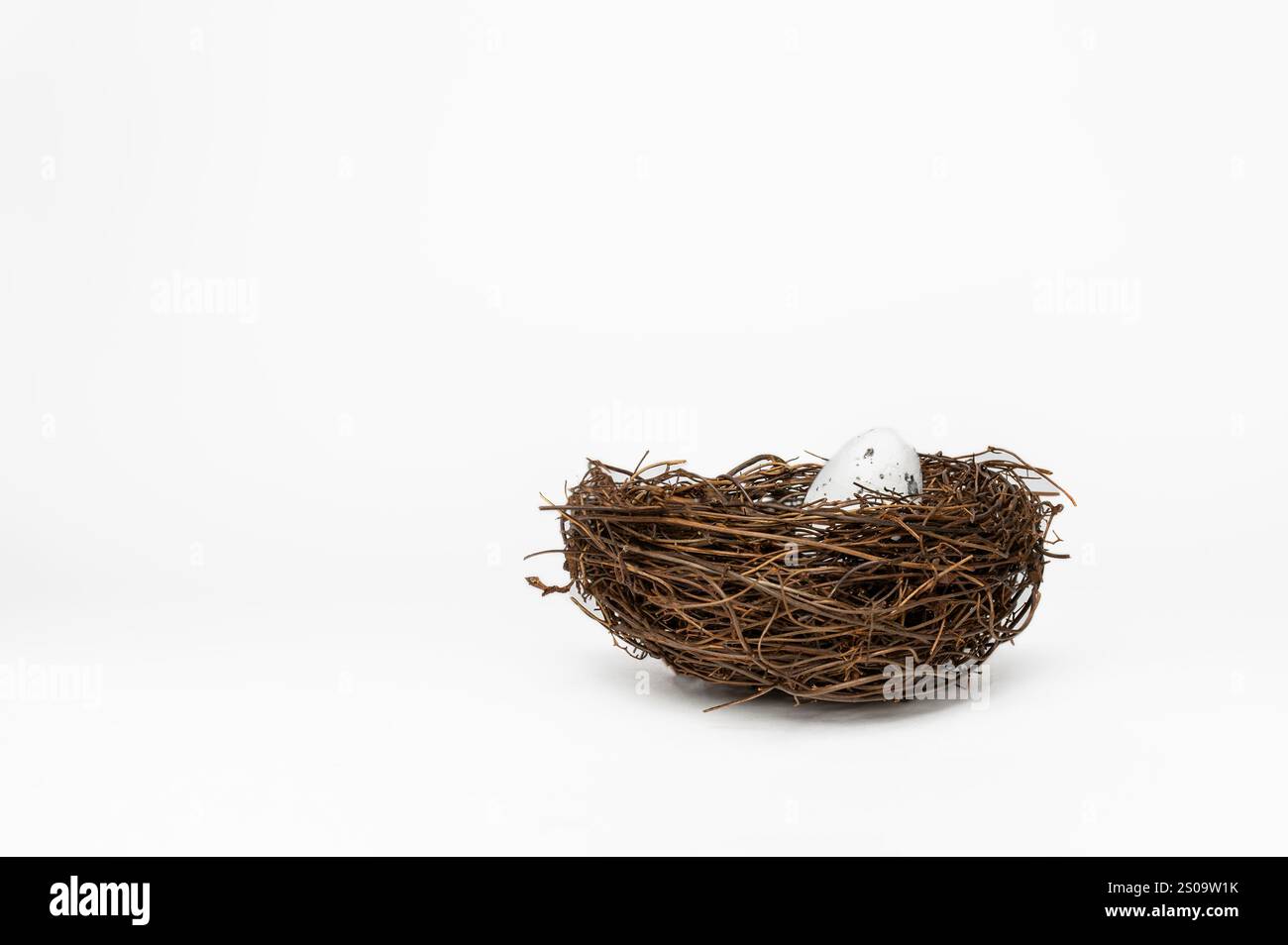 Bird nest on white background. International bird day. Breeding ground ...