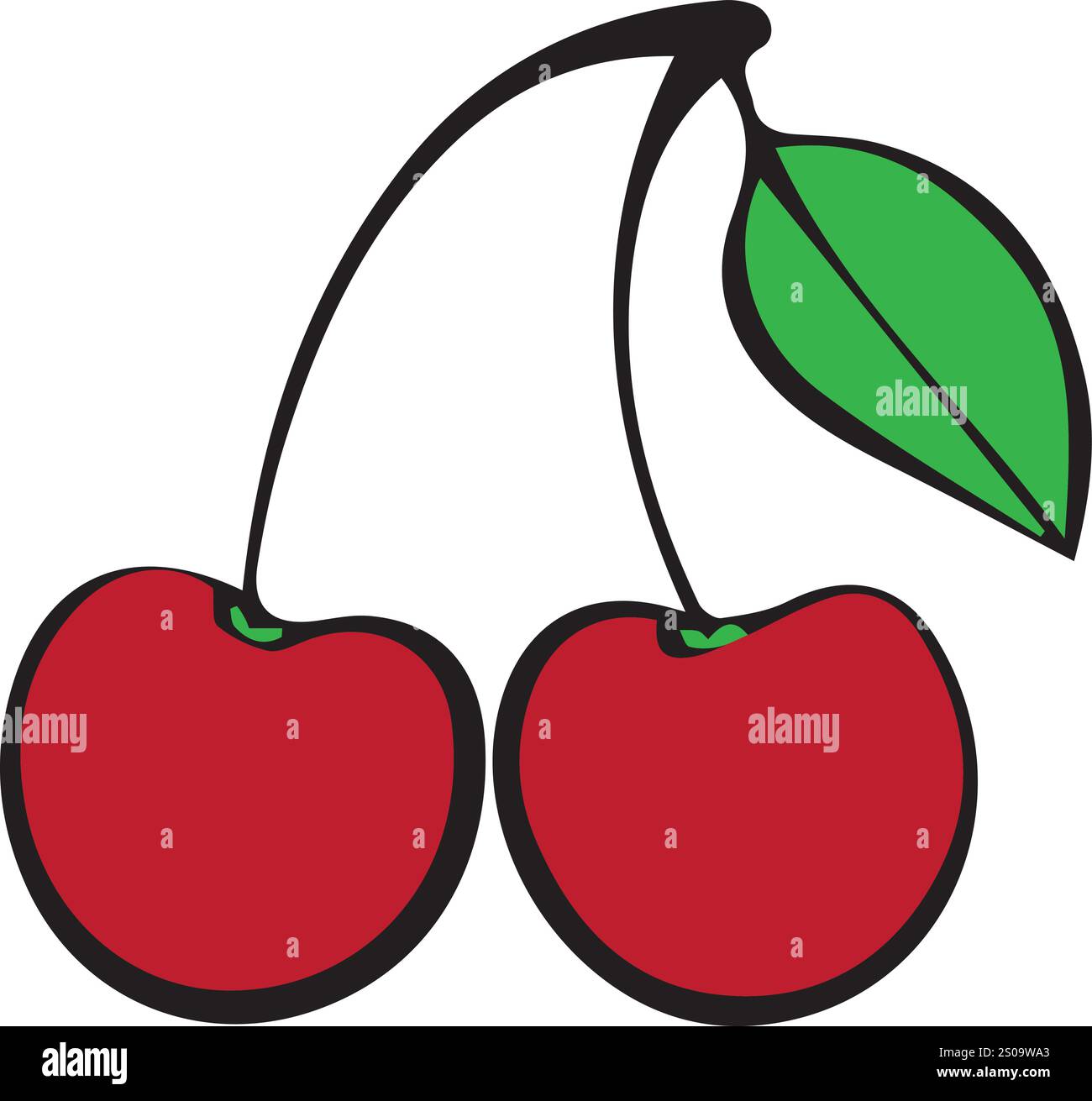 vector cherry, sour cherry, fruit drawing designs Stock Vector Image ...