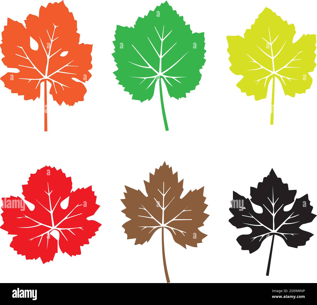 vector leaf, cactus, rose, daisy flower drawings Stock Vector Image ...