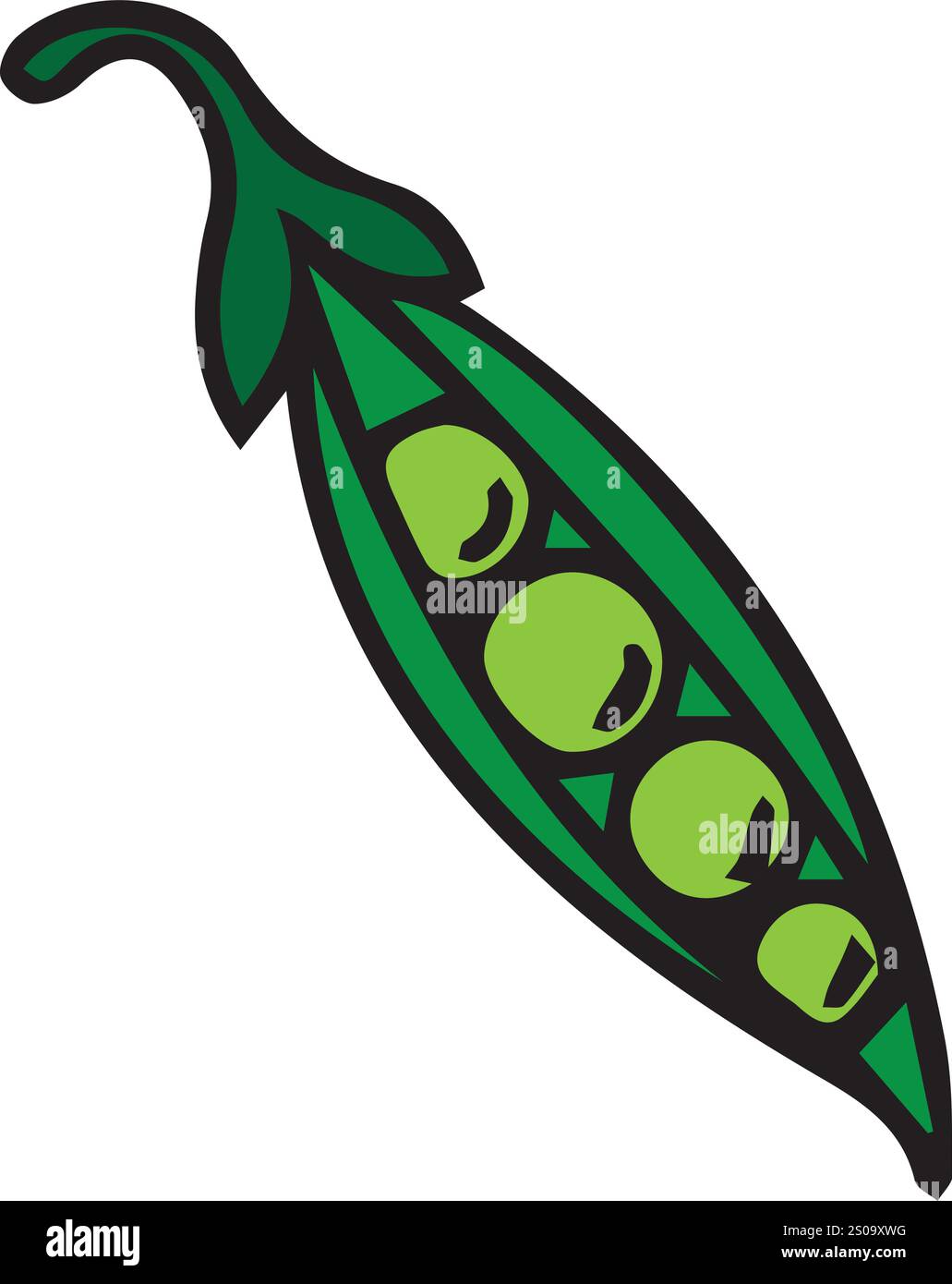 vector pea vegetable food illustration designs Stock Vector Image & Art ...