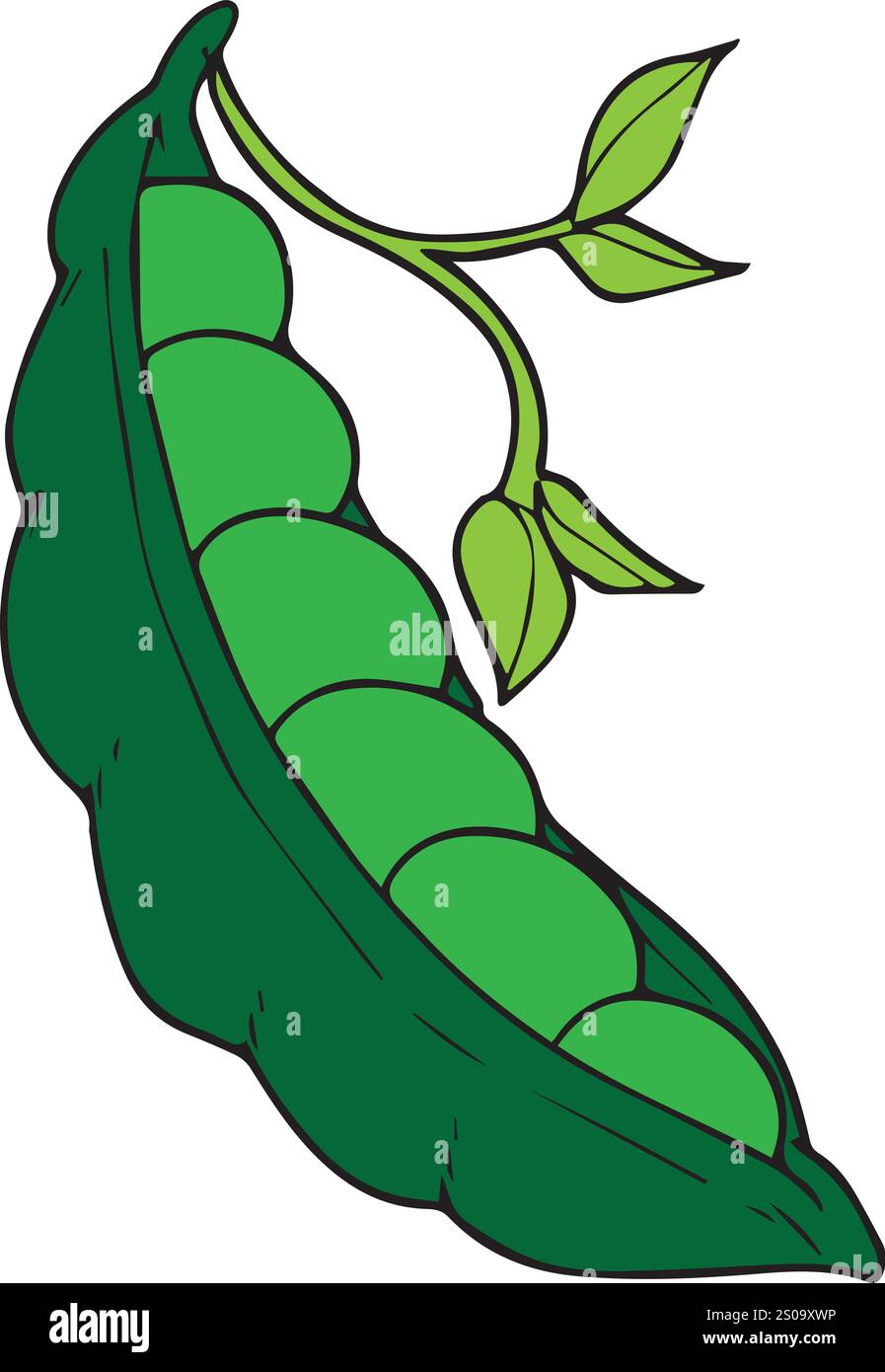 vector pea vegetable food illustration designs Stock Vector Image & Art ...