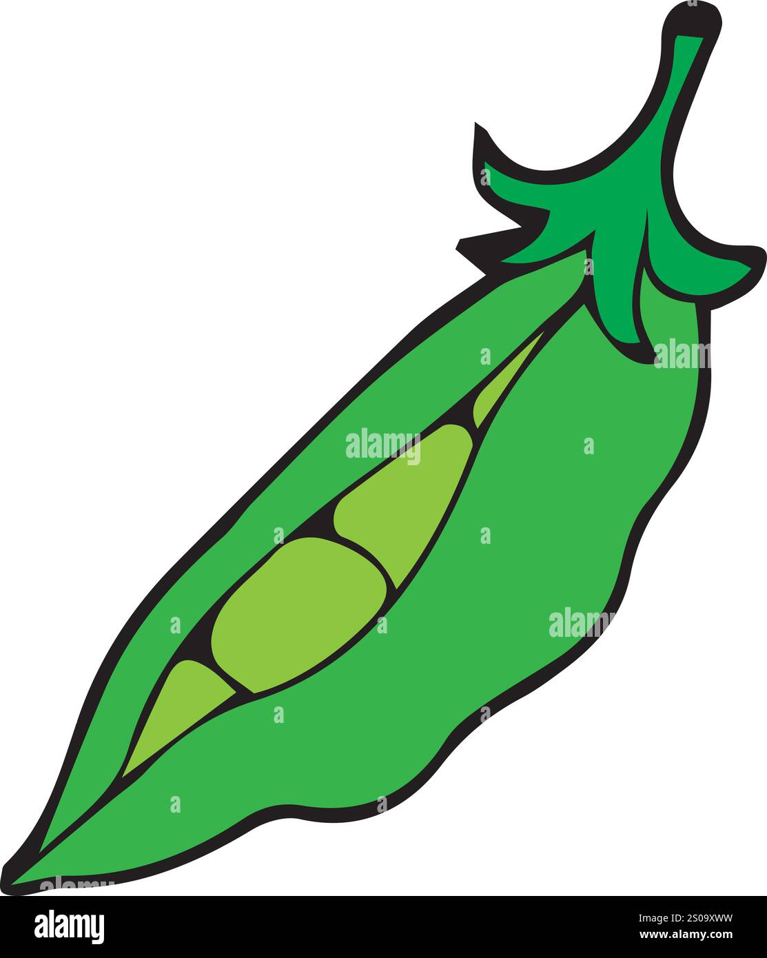 vector pea vegetable food illustration designs Stock Vector Image & Art ...