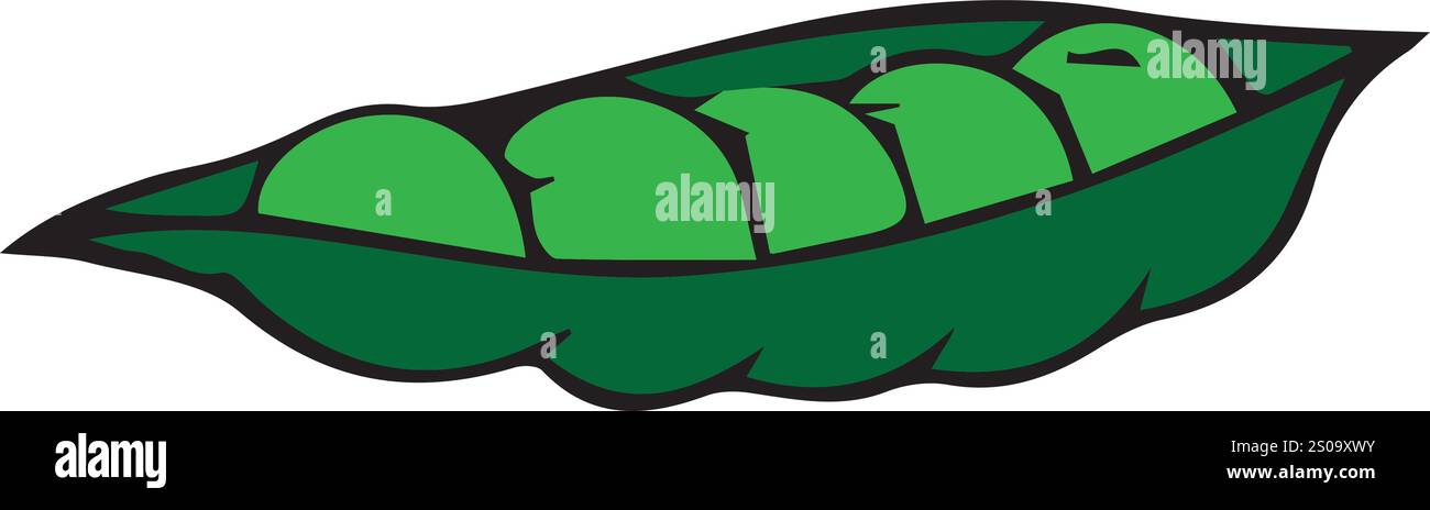 vector pea vegetable food illustration designs Stock Vector Image & Art ...