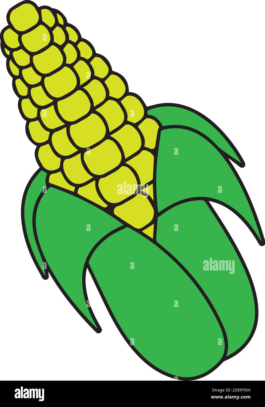 vector colorful corn, sticky food design Stock Vector Image & Art - Alamy