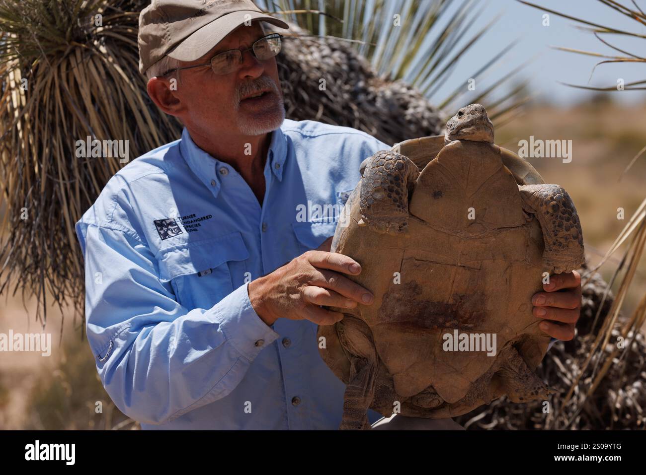 Scott Hillard with Boson Tortoise, Turner ranches, New Mexico, USA ...